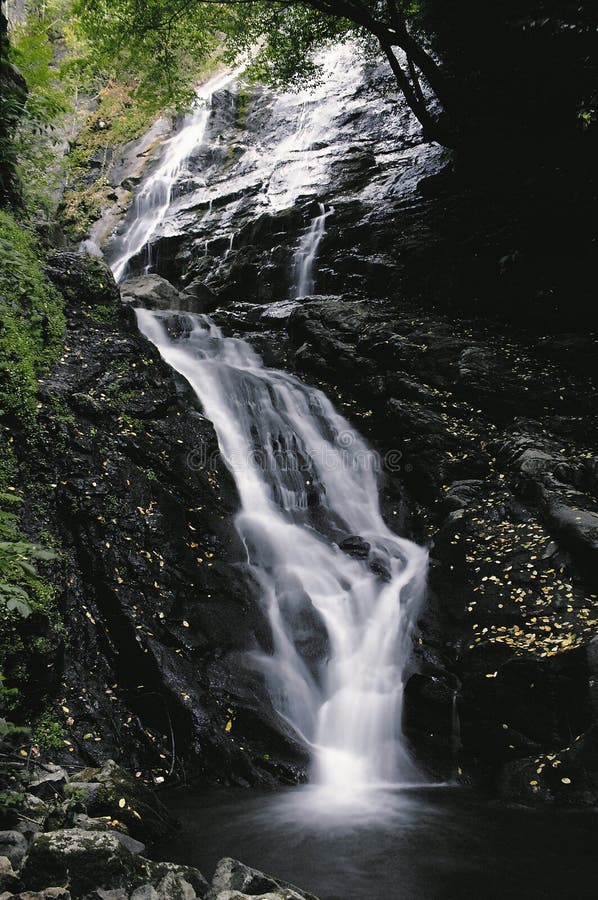 Cascade stock photo. Image of autumn, slow, rock, swim - 1313812