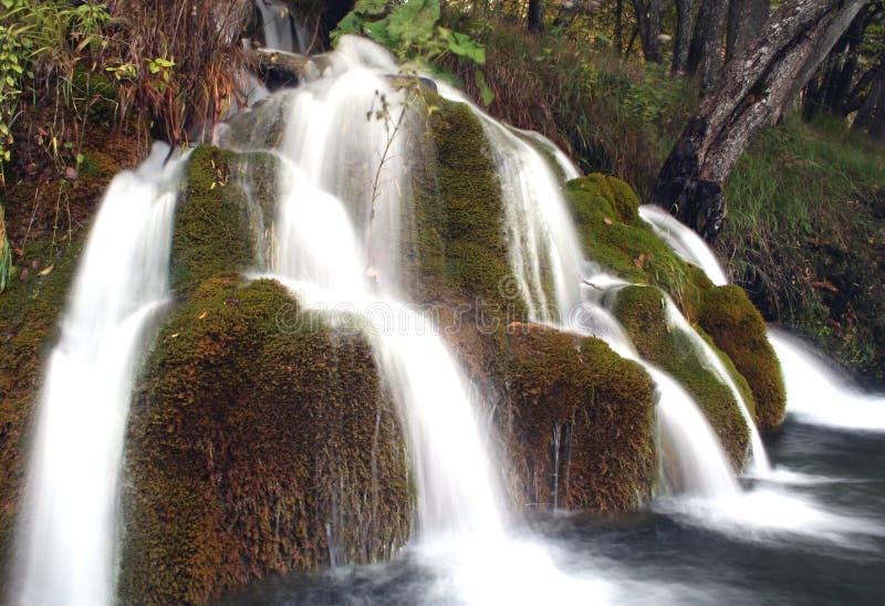 Cascade image stock. Image du mousse, bois, propre, cascade - 291589