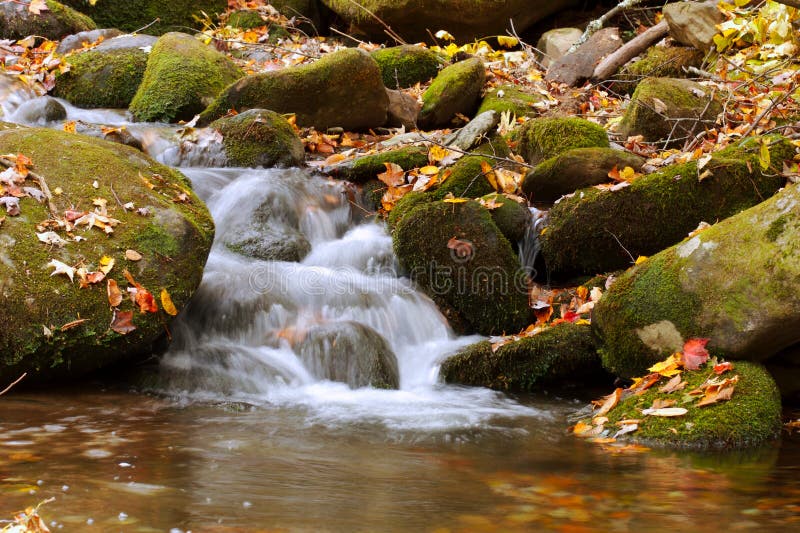 Cascade and Autumn Colors stock photo. Image of trees - 11576658