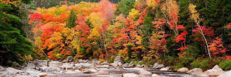 Cascade and Autumn Colors stock photo. Image of trees - 11576658