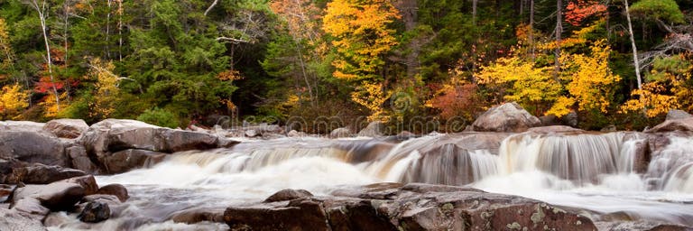 Cascade and Autumn Colors stock photo. Image of trees - 11576658