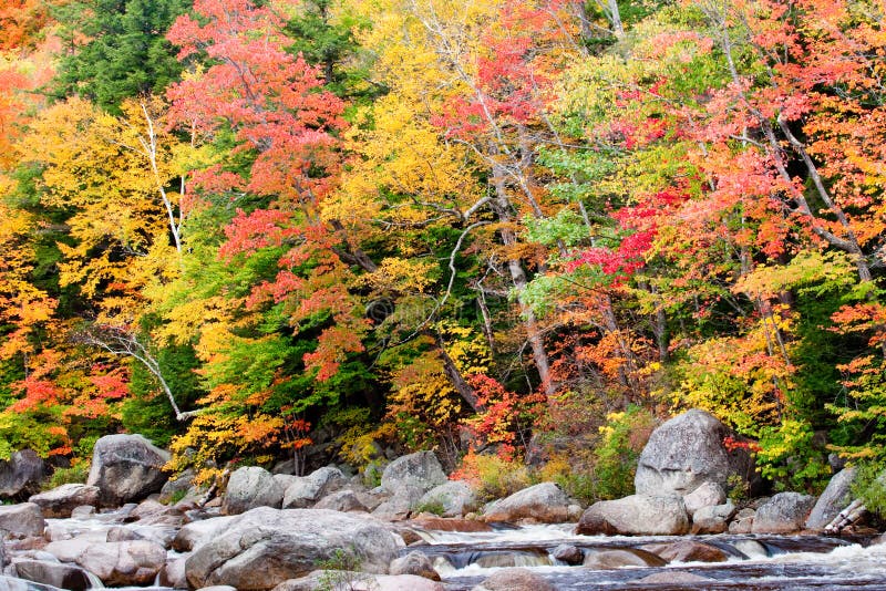 Cascade and Autumn Colors stock photo. Image of trees - 11576658