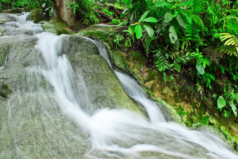 The Cascade on Basalt Stone Stock Photo - Image of plant, rill: 28275208