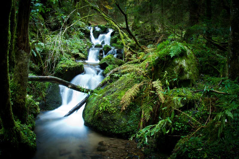 Cascade in black forest stock image. Image of beautiful - 22512221