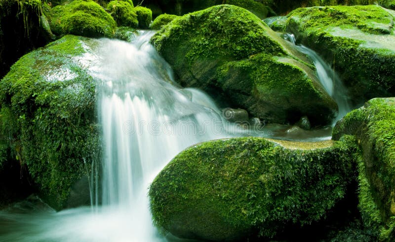 Cascade De Cascade Verte De Nature Paisible Image stock - Image du ...