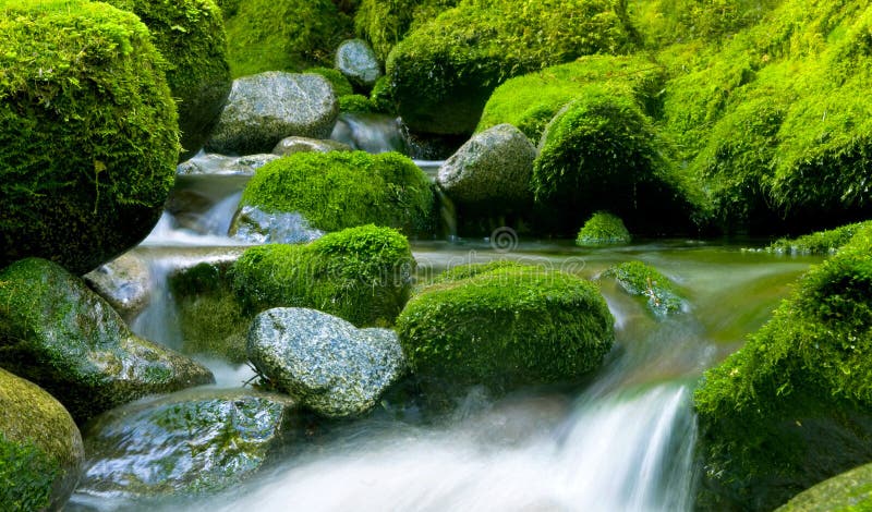 Cascade De Cascade Verte De Nature Paisible Image stock - Image du ...
