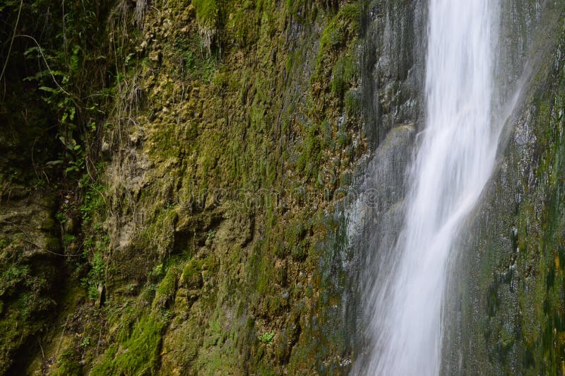 Cascade De Montagne Avec Des Paysages De Mousse Photo stock - Image du ...