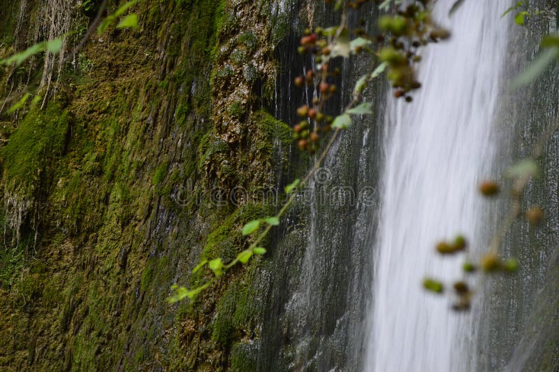 Cascade De Montagne Avec Des Paysages De Mousse Image stock - Image du ...