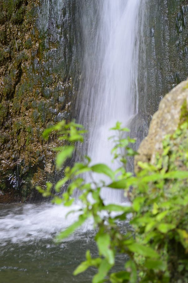 Cascade De Montagne Avec Des Paysages De Mousse Photo stock - Image du ...