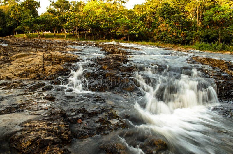 Cascade de pinces de Chai image stock. Image du abondant - 35116701