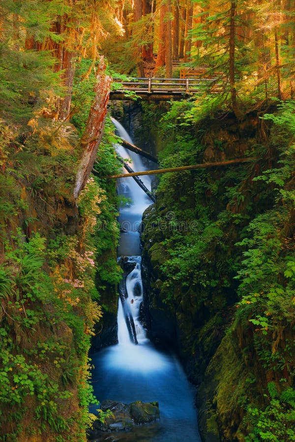 Cascade En Parc National Olympique Photo stock - Image du brouillard ...