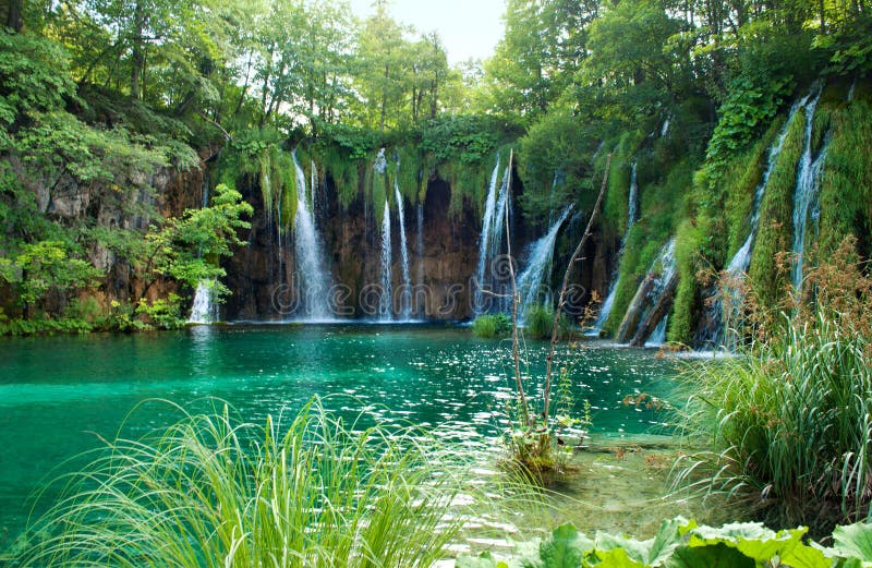 Cascade Et Lac Avec De L'eau Vert Transparent Image stock - Image du ...