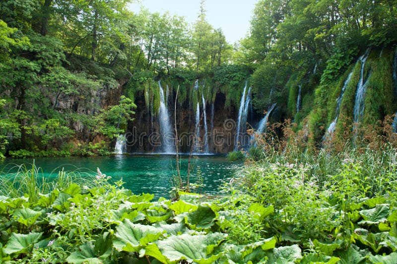 Cascade Et Lac Avec De L'eau Vert Transparent Image stock - Image du ...