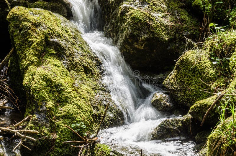 Cascade et mousse photo stock. Image of automne, tropical - 83462232