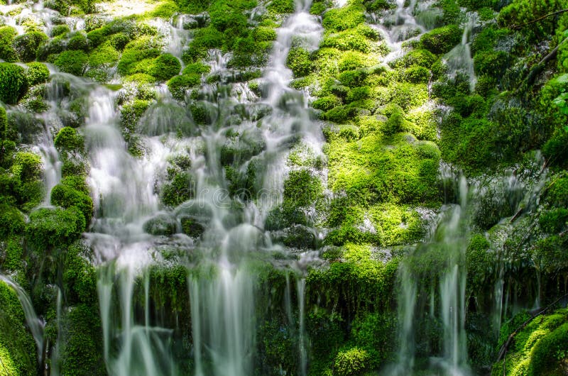 Cascade et mousse molle image stock. Image du nature - 137093913