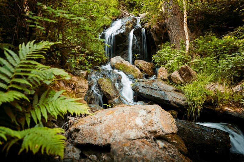 Cascade Falls Over Mossy Rocks Stock Photo - Image of attraction, cool ...