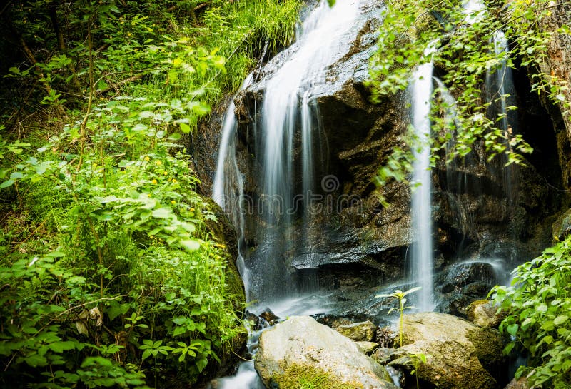 Cascade Falls Over Mossy Rocks Stock Photo - Image of luznice, forest ...