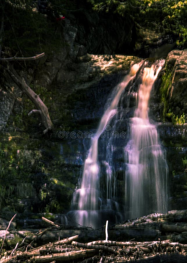 Cascade Falls stock photo. Image of forest, tree, creek - 218876474