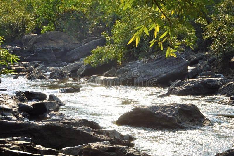 Falls, the Tree is Reflected in Falls with Stones Stock Image - Image ...