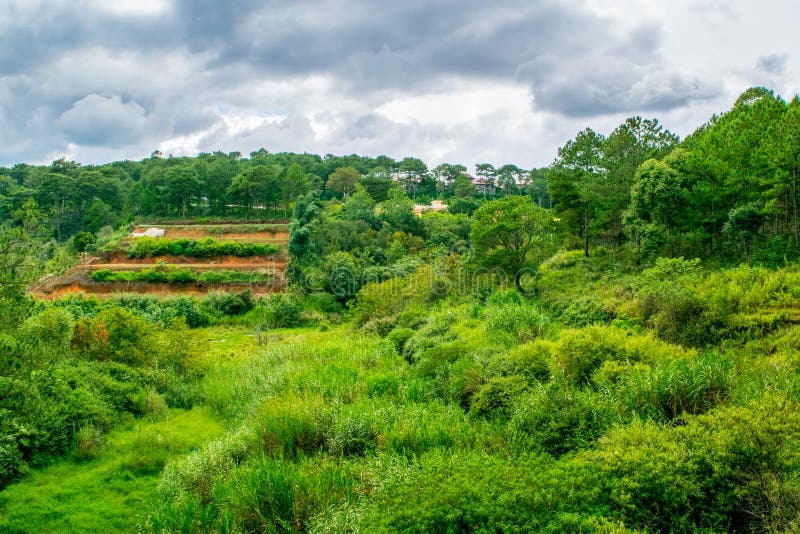 Cascade Fields Plowed for Sowing at Tropic Mountains in Vietnam Stock ...