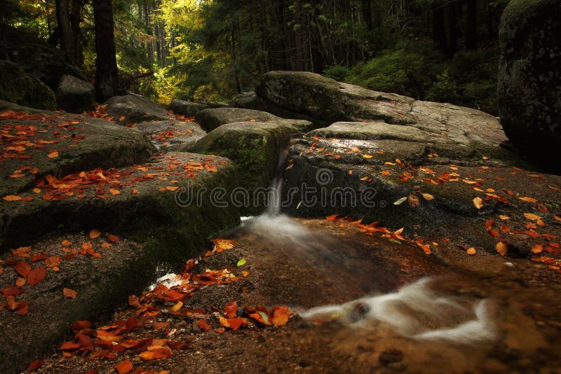 Cascade in the Forest with Big Stone in Foreground. Stock Photo - Image ...