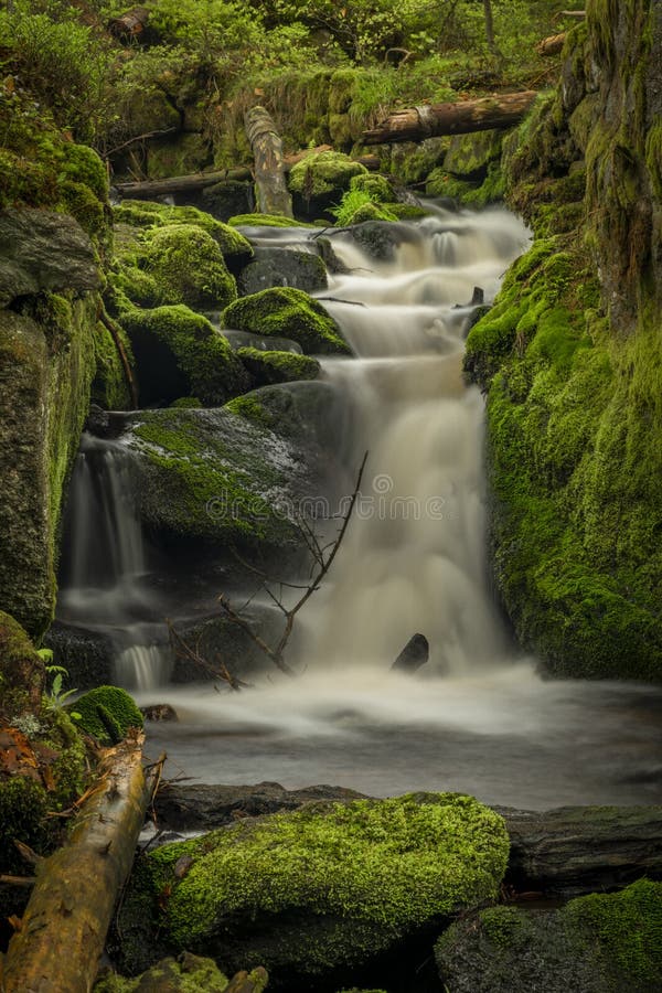 Cascade on Konsky Creek in Spring Light Green Day with Cloudy Sky Stock ...