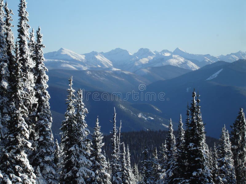 Cascade Mountain Range stock image. Image of tree, winter - 12534017