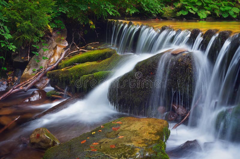 Cascade mountain river stock photo. Image of floral, fresh - 40209730
