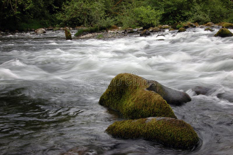 Cascade Mountain Stream stock photo. Image of olympic - 48836496