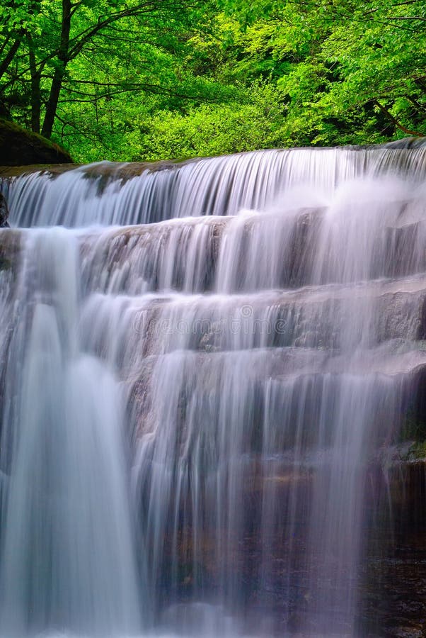 Natural Cascade in the Park Stock Photo - Image of dusk, forest: 34729518