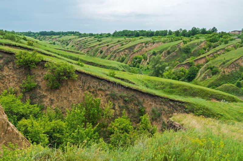 Cascade of Ravines. Erosion of Agricultural Land Stock Image - Image of ...