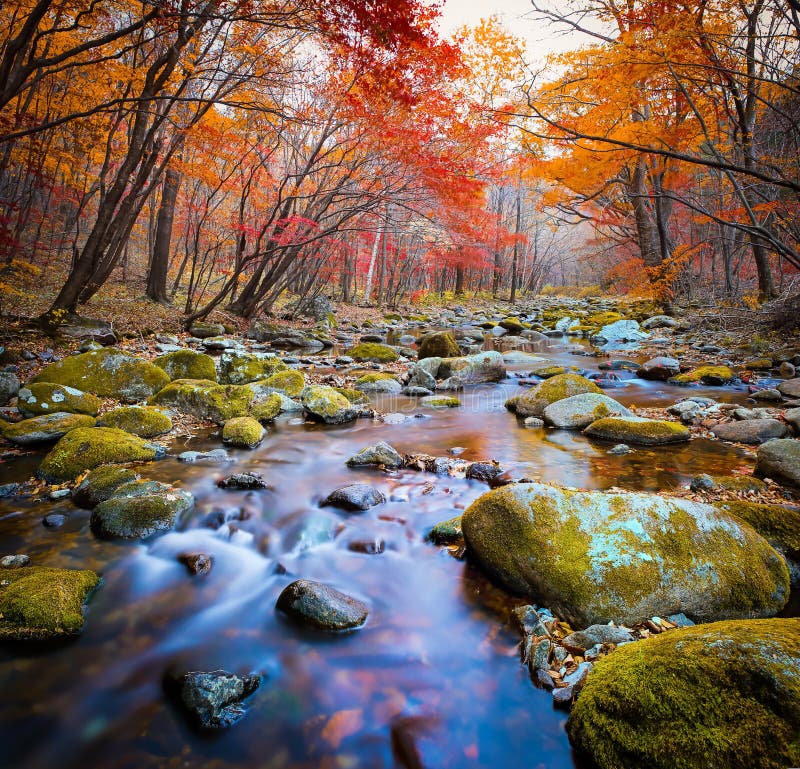 Cascade River Flow with Fall Foliage Stock Image - Image of foliage ...