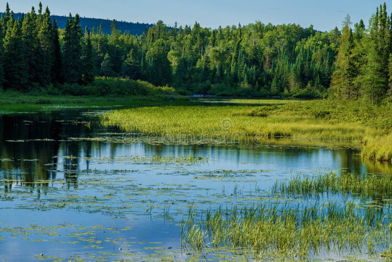 Cascade River, Superior National Forest Stock Image - Image of mirrored ...