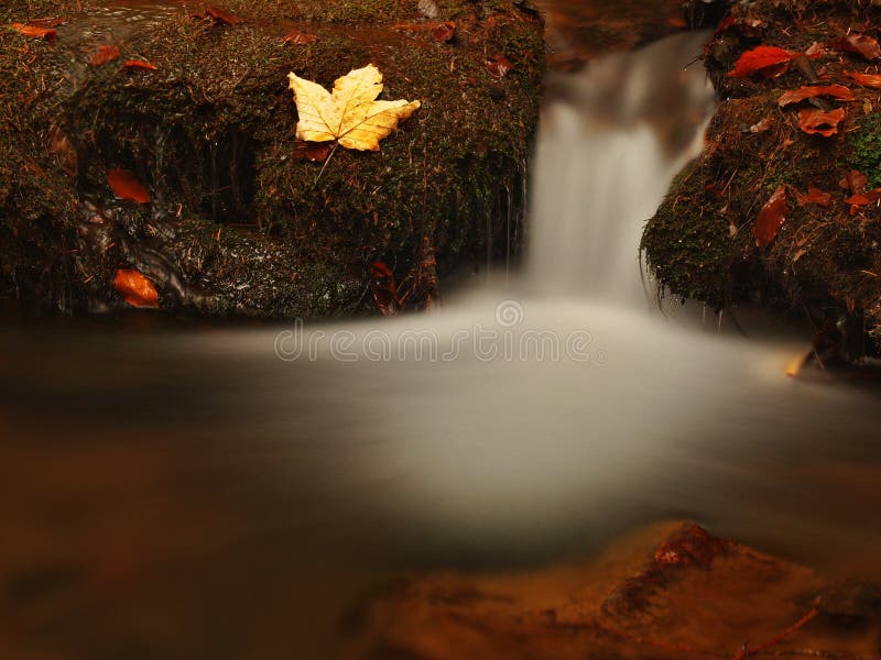 Cascade on Small Mountain Stream, Water is Running between Boulders and ...