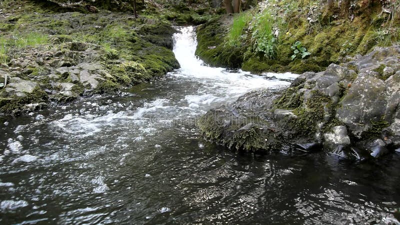 Cascade on Small Mountain Stream, Water is Running Trough Big Crack ...