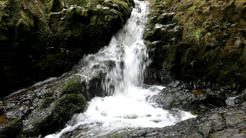 Cascade on Small Mountain Stream, Water is Running Stock Video - Video ...