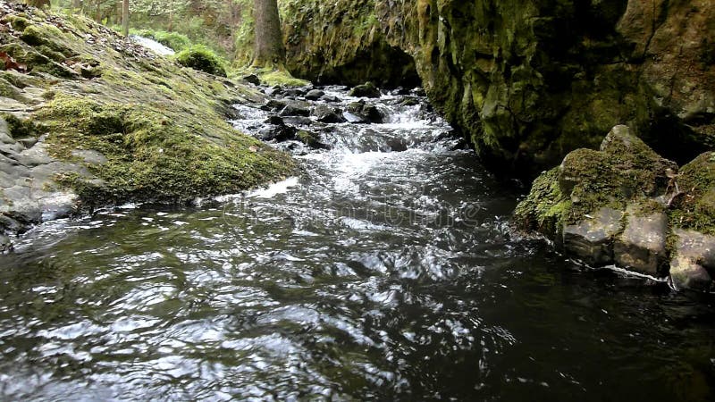 Cascade on Small Mountain Stream, Water is Running Stock Video - Video ...