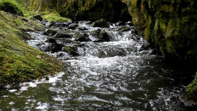Cascade on Small Mountain Stream, Water is Running Stock Video - Video ...