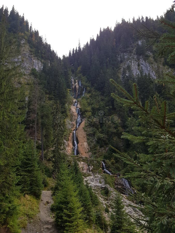 Cascade stock photo. Image of freshness, cascade, fresh - 136760202