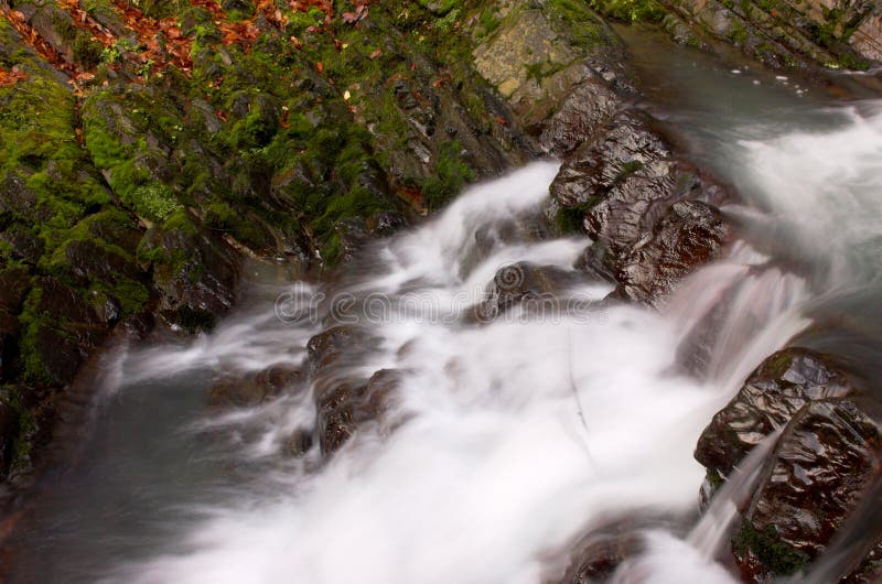 Cascade Steps Picture. Image: 613069