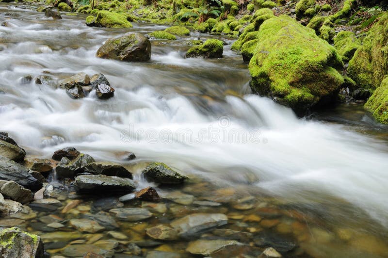 Cascade and Stone stock image. Image of falling, landscape - 13702043