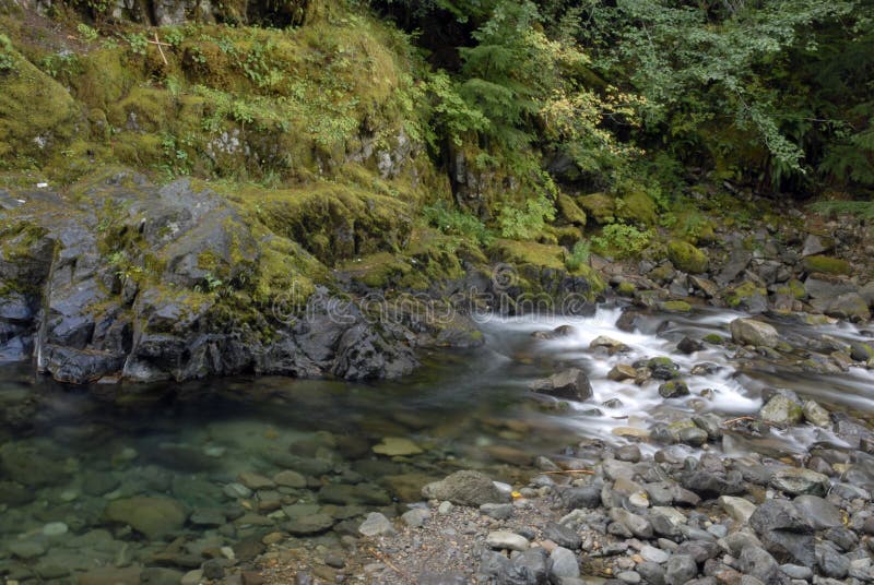 Cascade Stream stock photo. Image of packwood, river - 23847118