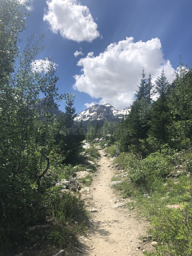 Cascade valley trail stock photo. Image of trail, park - 253871404