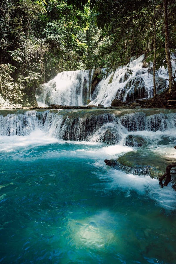 Fresh Cascade in Rain Forest Stock Photo - Image of river, fresh: 114196276