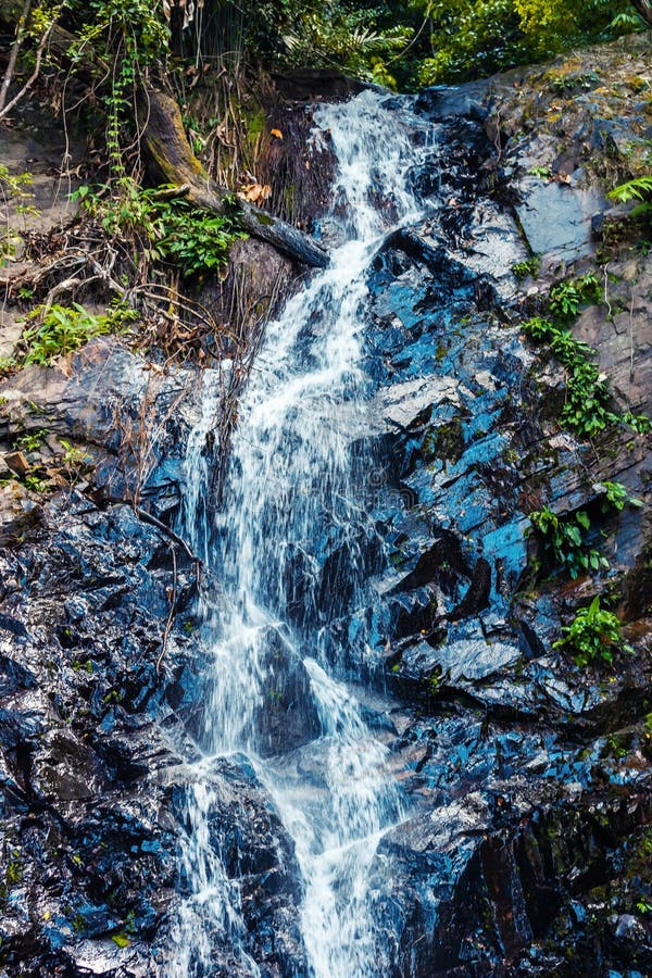 Cascade Waterfall in Deep Jungle in Asia. Stock Image - Image of ...