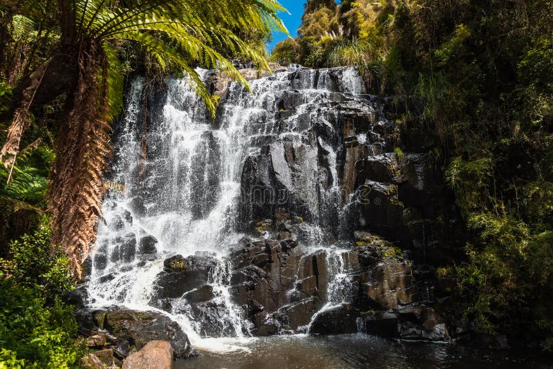 Cascade Waterfall with Tropical Plants in Forest Stock Photo - Image of ...
