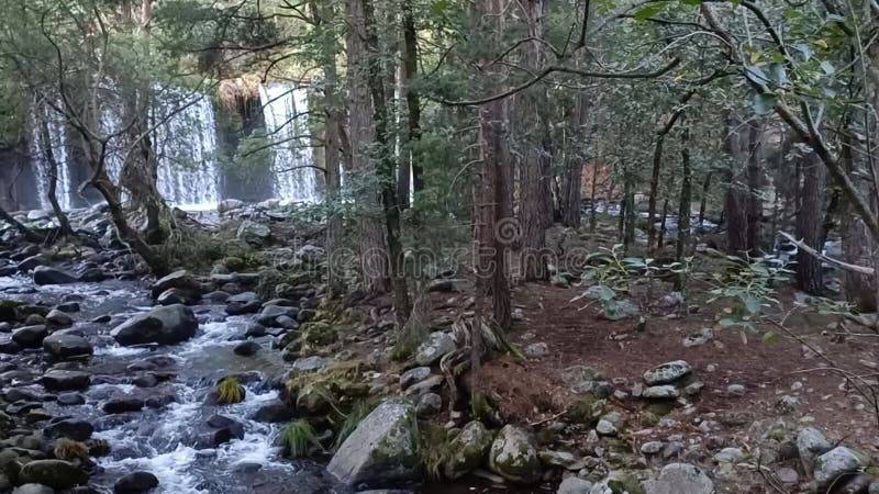 Cascade, Waterfall, Water, River, Environment, Nature, Landscape ...