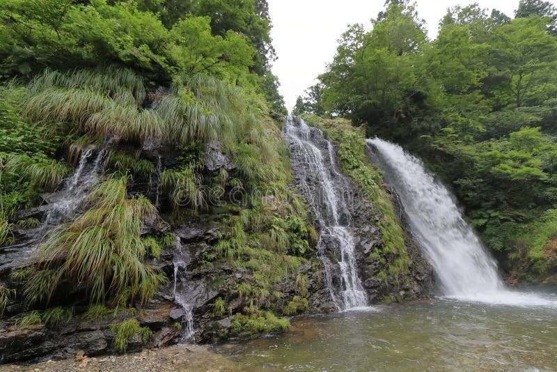Cascades De Shirogane Dans Le Hotspring De Ginzan Photo stock - Image ...
