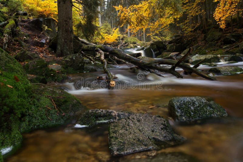 Cascades on the River in Autumn Forest Stock Image - Image of stone ...