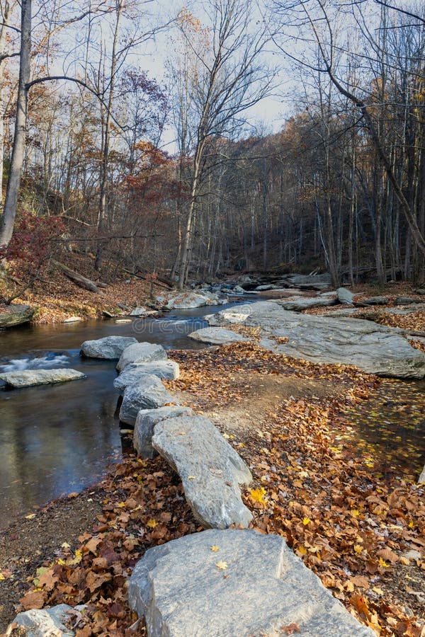 Cascading Creek in the Fall - Vertical Orientation Stock Photo - Image ...